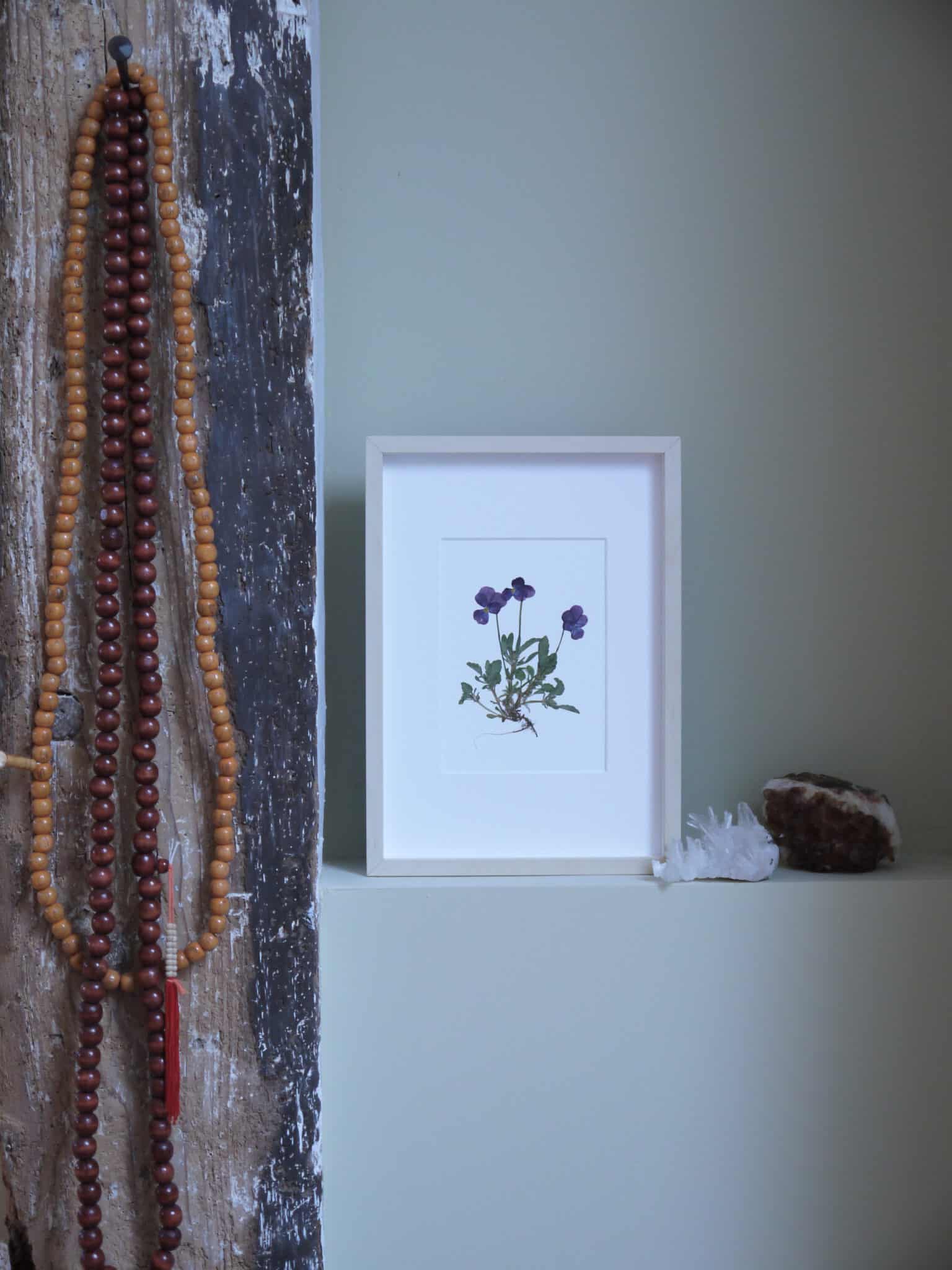 Home - Studio Botanic