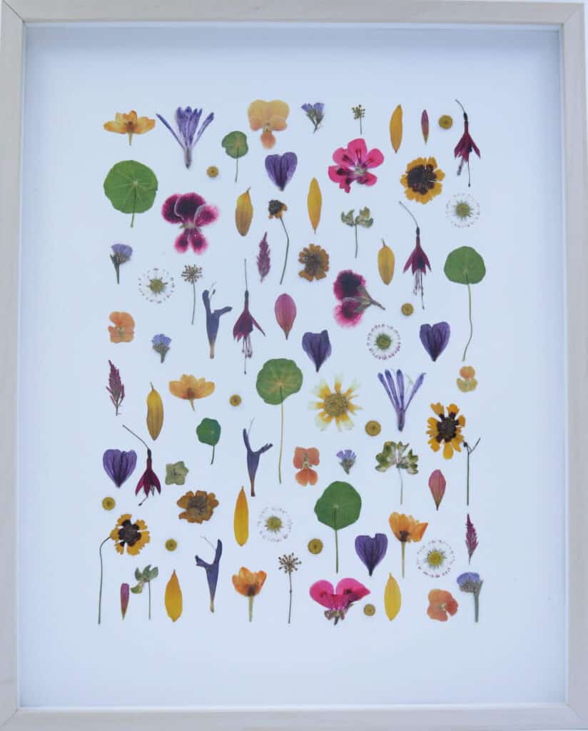 Home - Studio Botanic