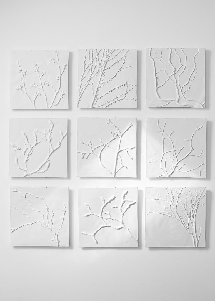 Home - Studio Botanic