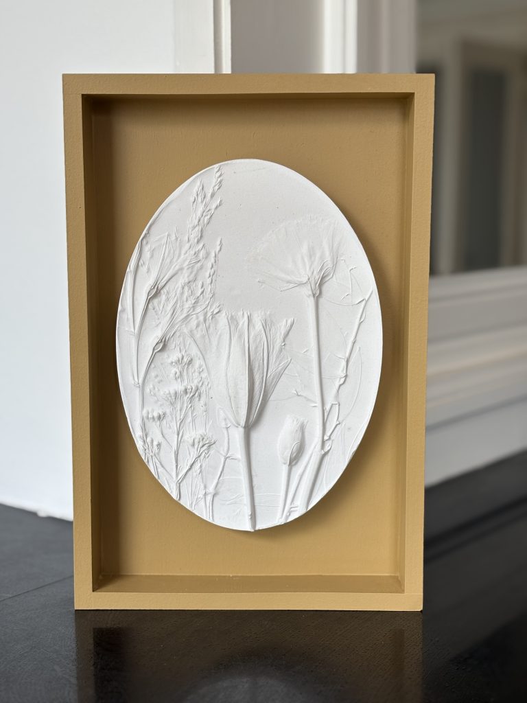 Home - Studio Botanic