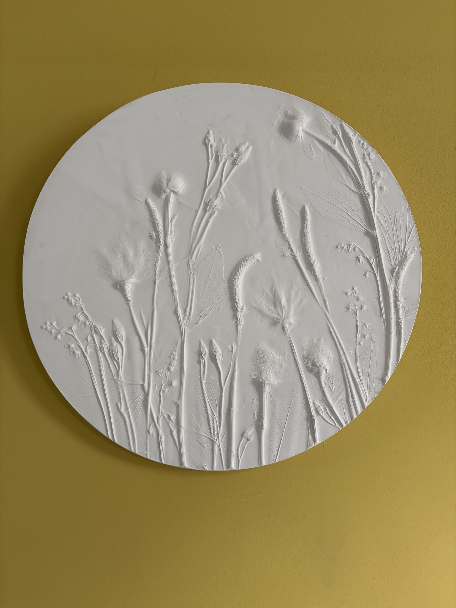 Home - Studio Botanic