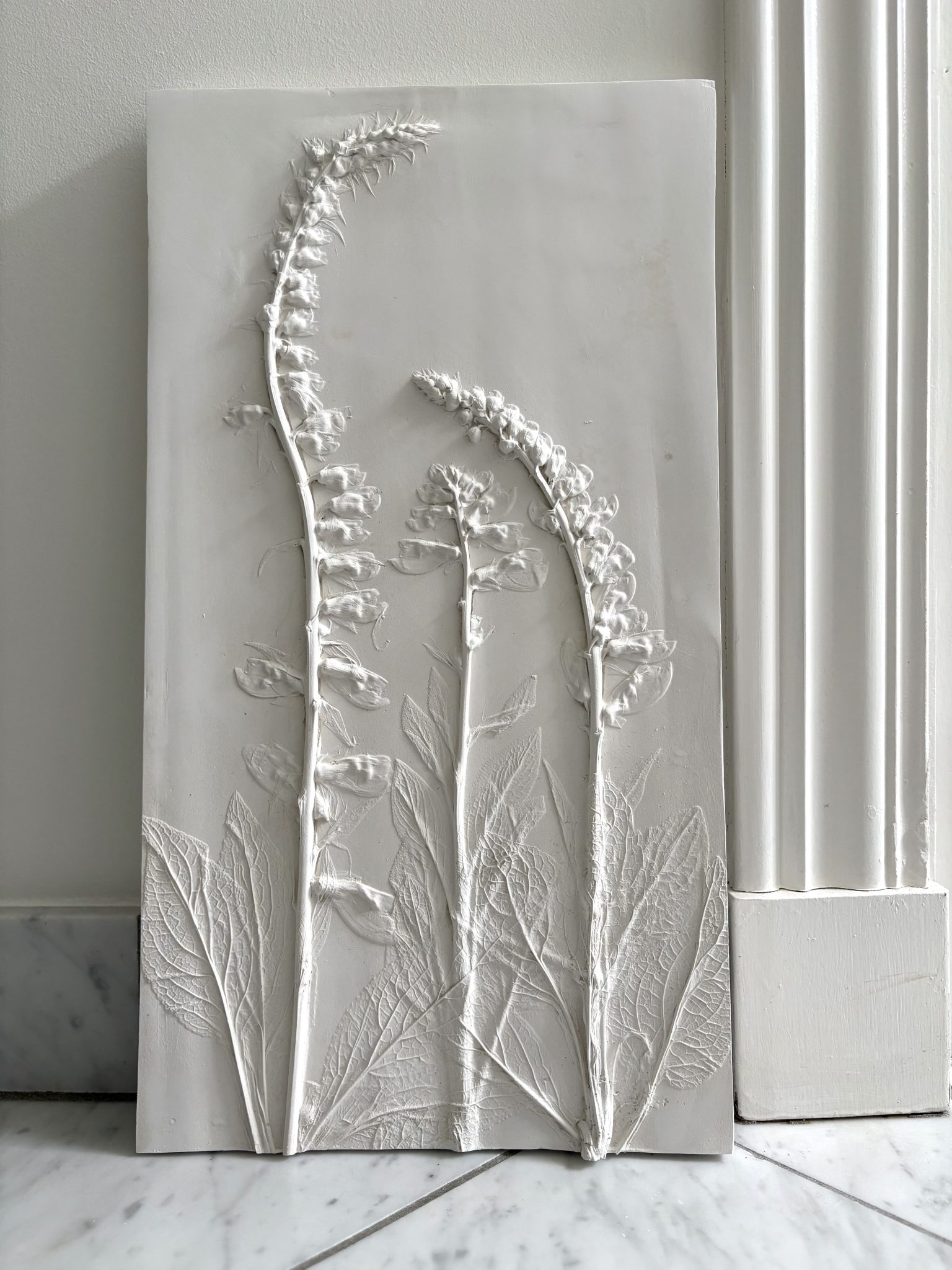 Home - Studio Botanic